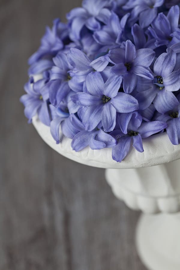 Still Life with Spring Flowers Stock Image - Image of flowers, nature ...