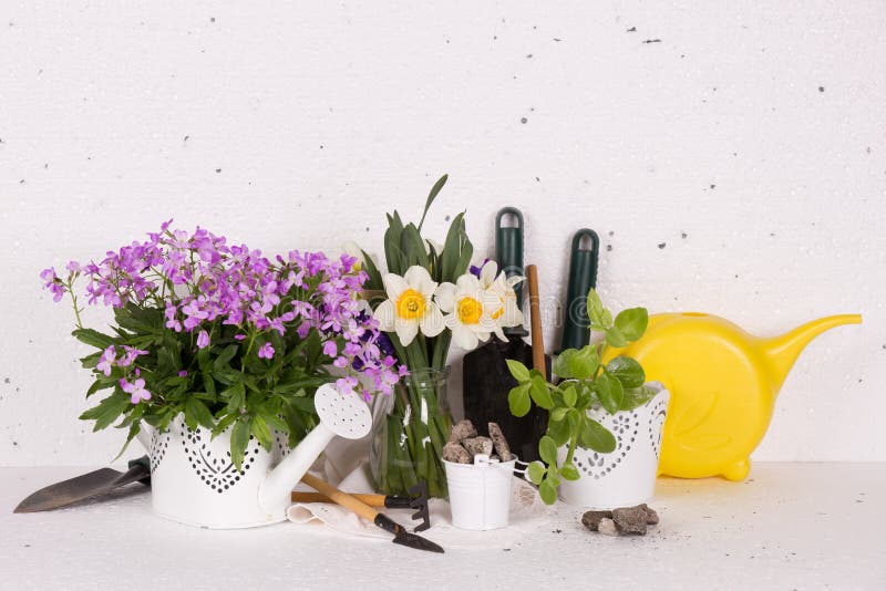 Still Life with Spring Flowers Stock Image - Image of leaves, vintage ...