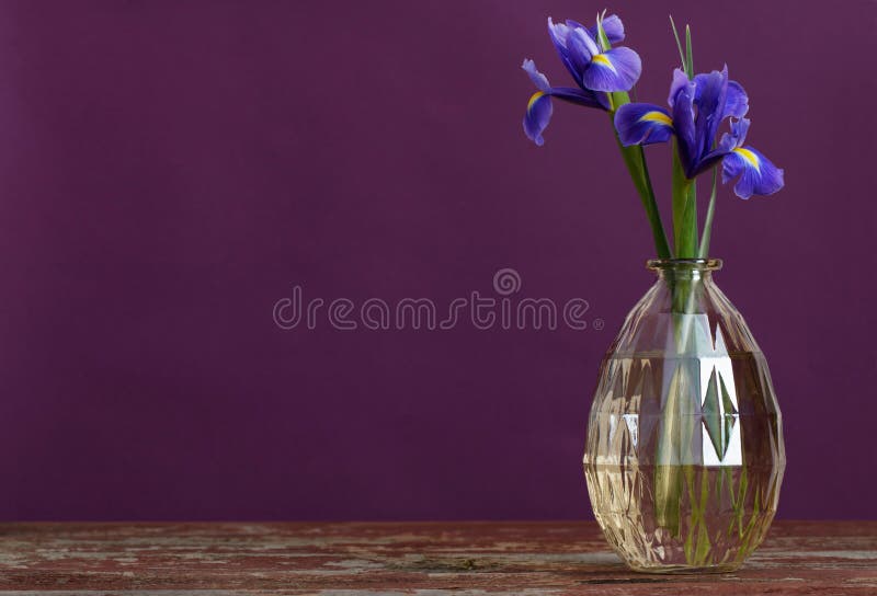 Still Life with Spring Flowers in Vase Stock Image - Image of color ...