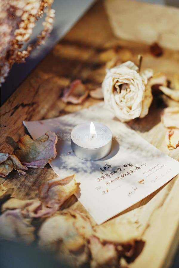 Still life stock image. Image of life, still, preset - 162174309