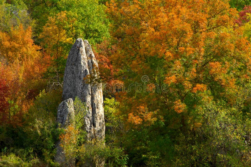 Still Life with Stone and Colored Trees Stock Photo - Image of concept ...