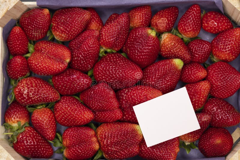 Still Life of Strawberries with a Label for Text Stock Photo - Image of ...