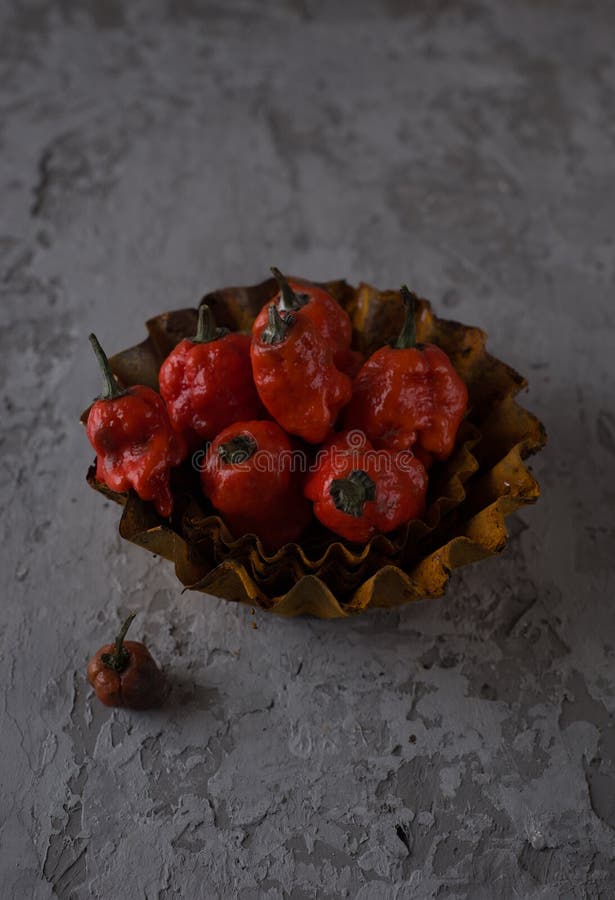 Still Life Tabasco Pepper on Concrete Gray Background Stock Image ...