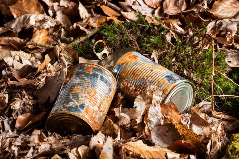 Tin Can Waste on Forest Floor Closeup Stock Photo - Image of earth ...
