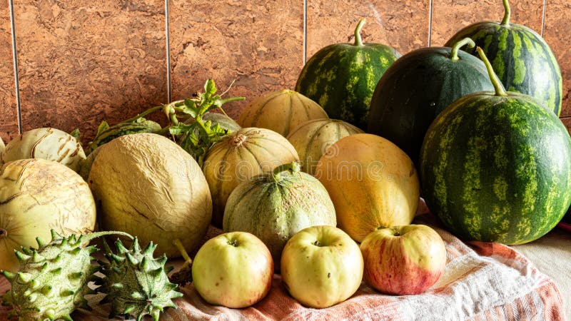 Still Life with Various Autumn Vegetables, Melons and Watermelon ...