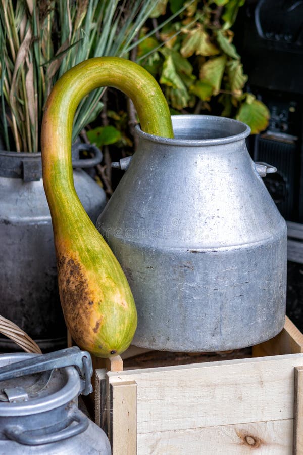 Still Life with Various Old Aluminum Objects, Historical Dishes Stock ...