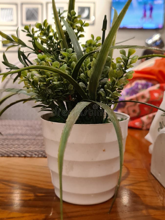 Still life vase stock photo. Image of beautiful, yellow - 254292554