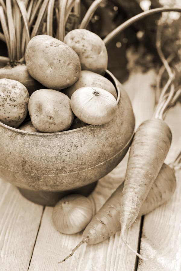 Still Life of of Vegetable Root Crop Stock Image - Image of crops ...