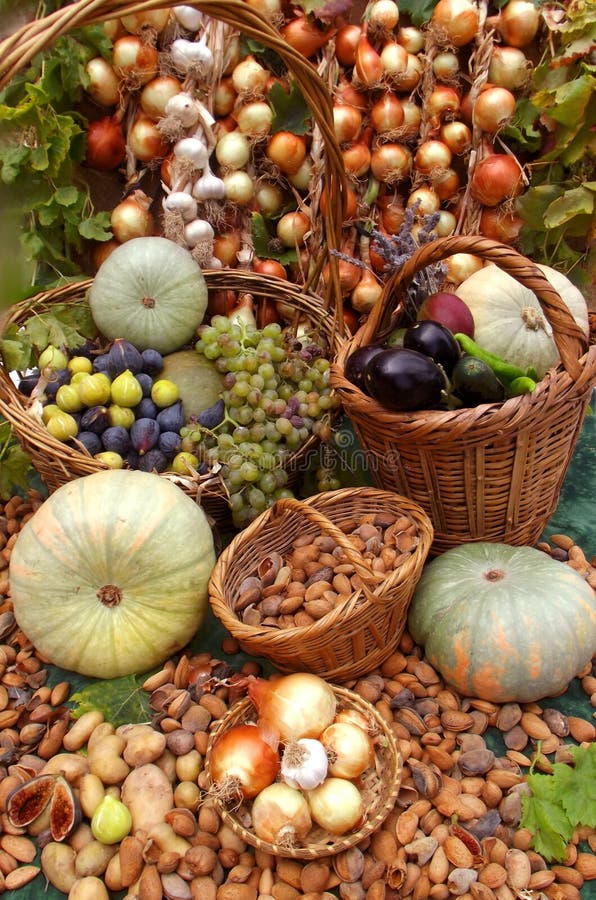 Still Life with Vegetables Display Stock Image - Image of ecologyc ...