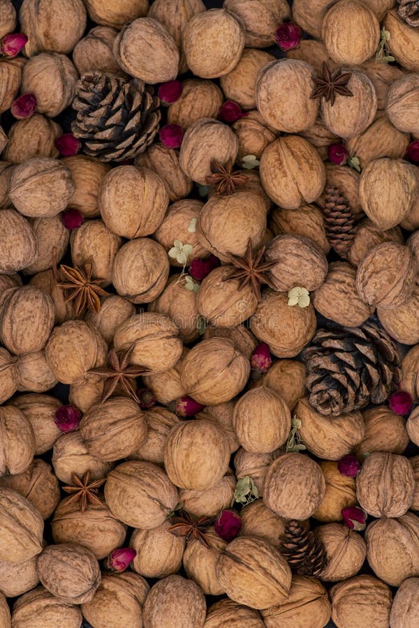 Still Life of Walnuts and Spices, Top View Stock Image - Image of ...