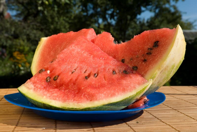 Still life with watermelon stock photo. Image of vegetarian - 10828830