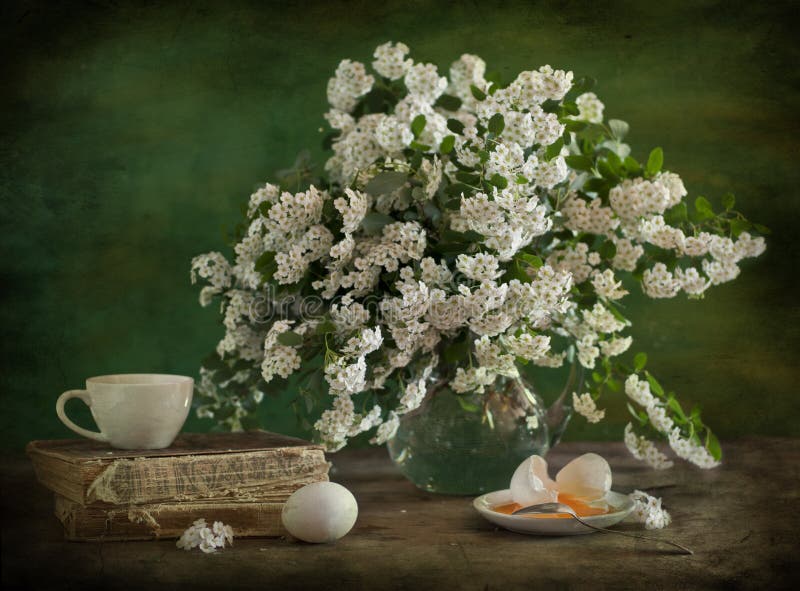 Still Life from White Flowers Stock Photo - Image of bouquet, village ...