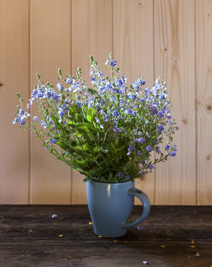 Still Life with Wild Flowers, Spring Time Stock Image - Image of style ...