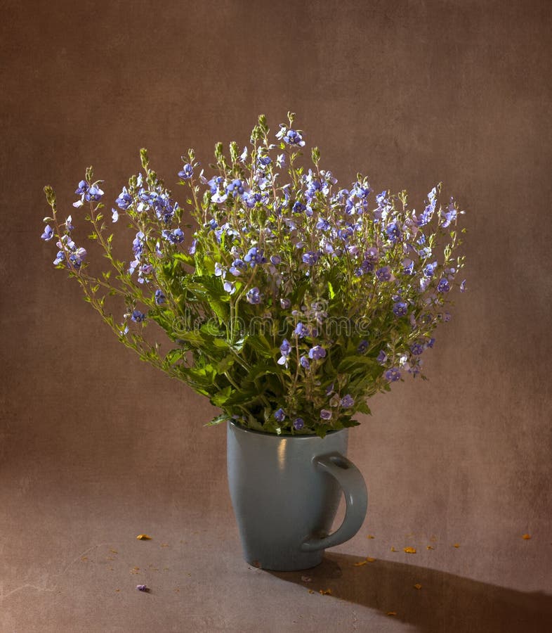 Still Life with Wild Flowers, Spring Time Stock Image - Image of ...