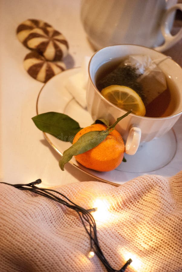 Still life winter stock photo. Image of enjoytime, winter - 111105936