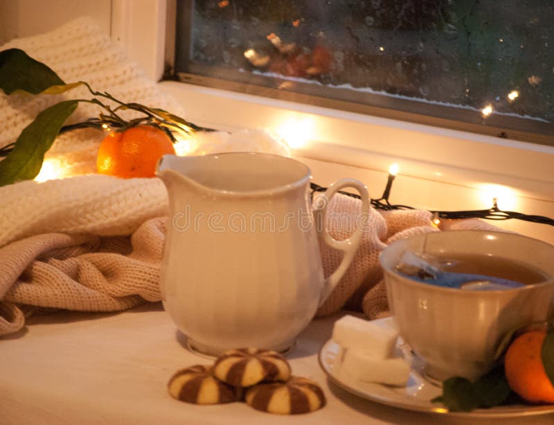 Still life winter stock image. Image of looks, tangerine - 111109883