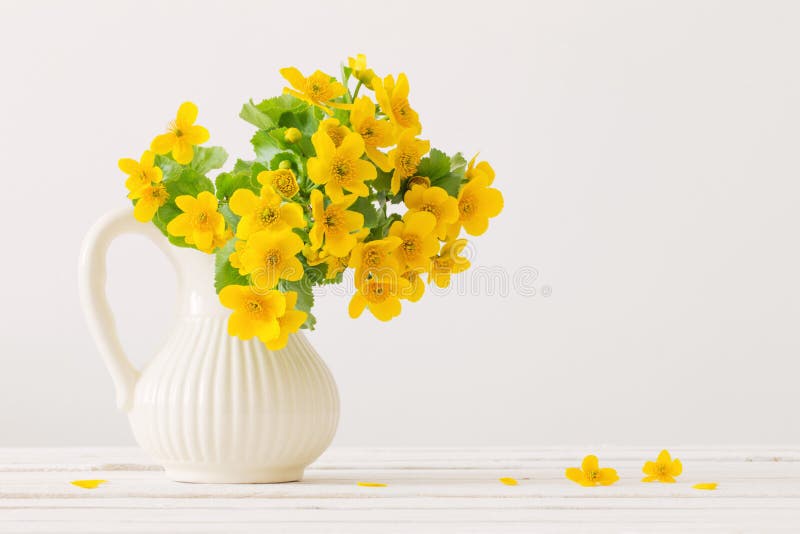 Still Life with Yellow Spring Flowers in Jug Stock Photo - Image of ...
