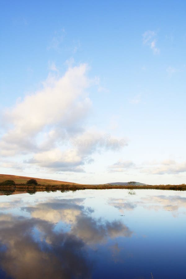 Still and Reflective Pool stock photo. Image of still - 22017488