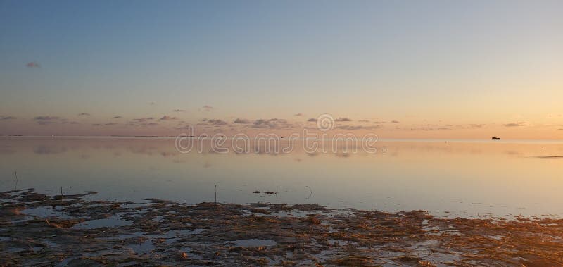 Still Reflective Water at the Beach during Sunset in Florida Stock ...