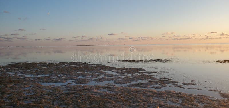 Still Reflective Water at the Beach during Sunset in Florida Stock ...