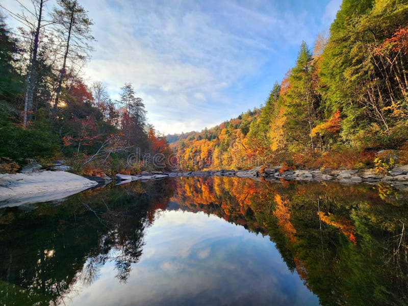 Still river in the meadow stock photo. Image of water - 76438832
