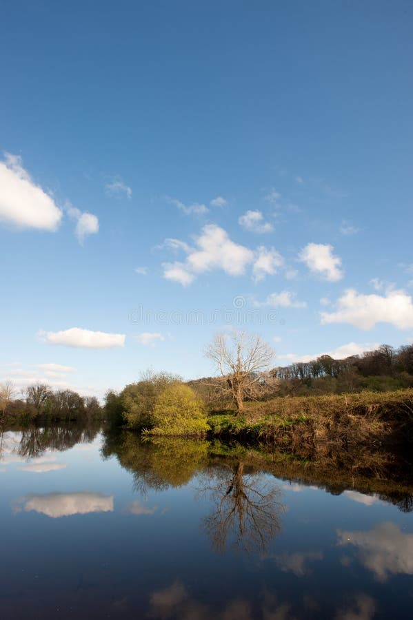 Still River Tree Reflection Stock Photo - Image of beauty, river: 41570110