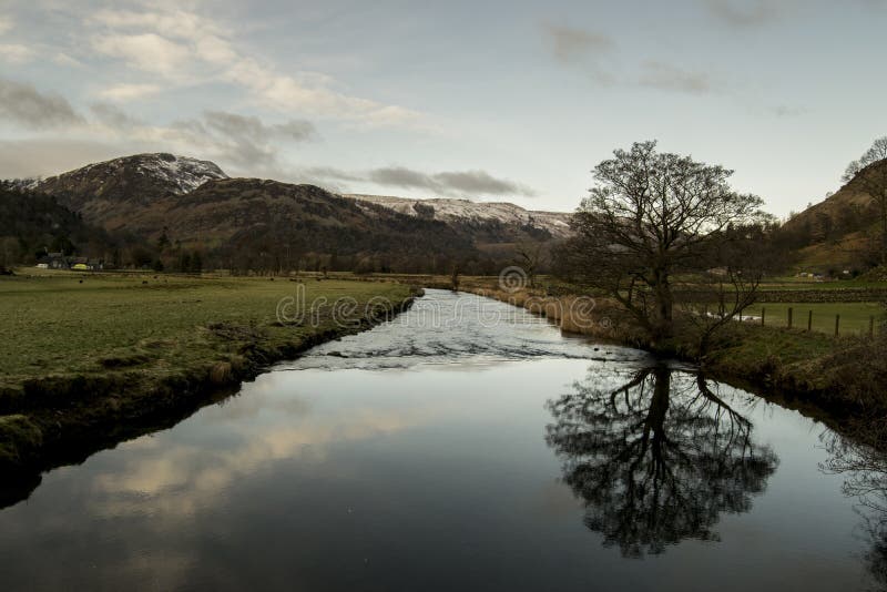 Still River with Tree Reflection Stock Image - Image of plane, still ...