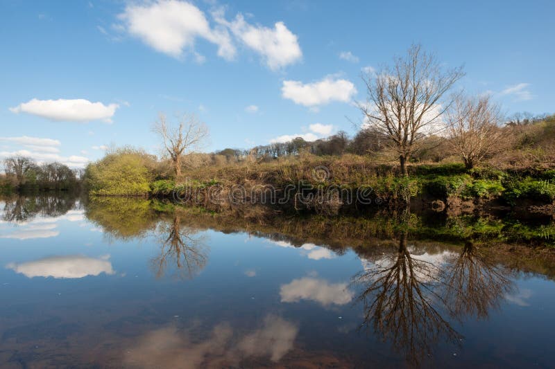 Still river in the meadow stock photo. Image of water - 76438832