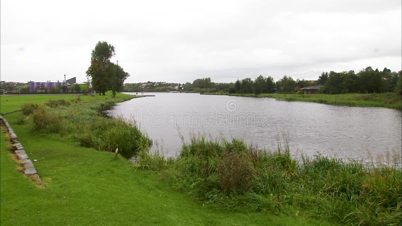 Green Irish Fields, Top View. Agricultural Terrain, Fenced Pastures for ...