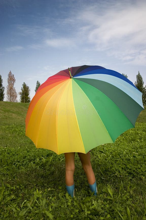 Still summer stock image. Image of meadows, outdoor, sunny - 1282751
