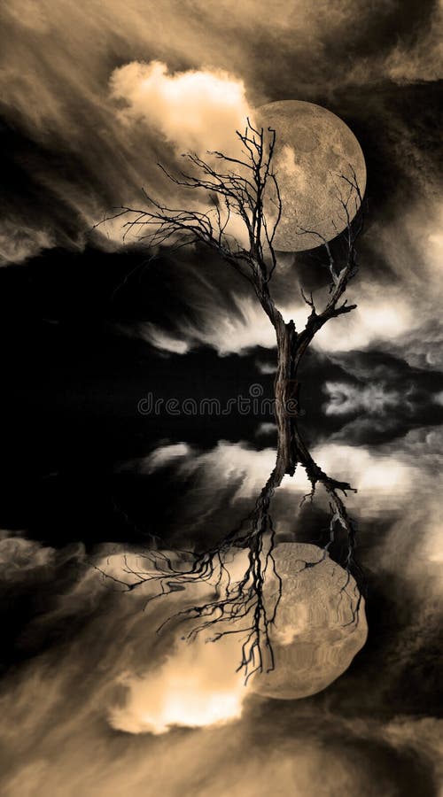 Still Water stock illustration. Illustration of early - 15388368