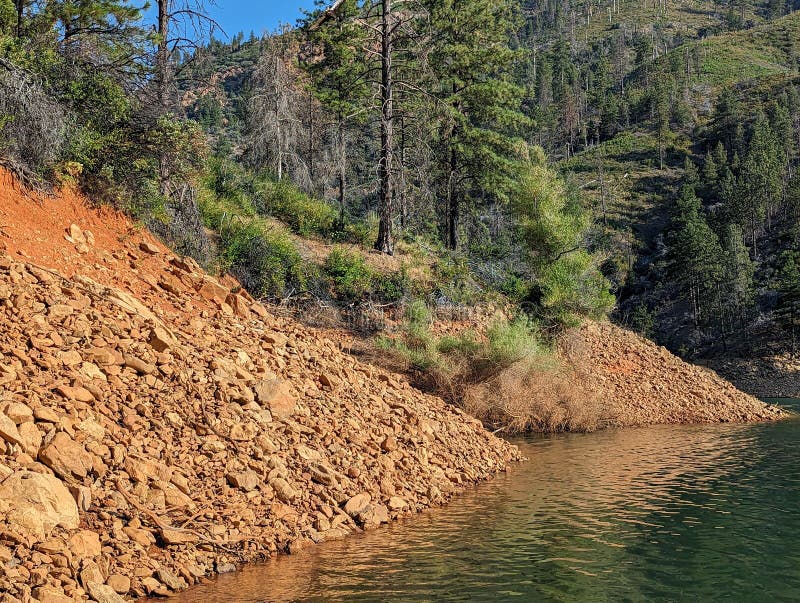 Still Waters in the Forest at Lakes Edge Stock Image - Image of lakes ...