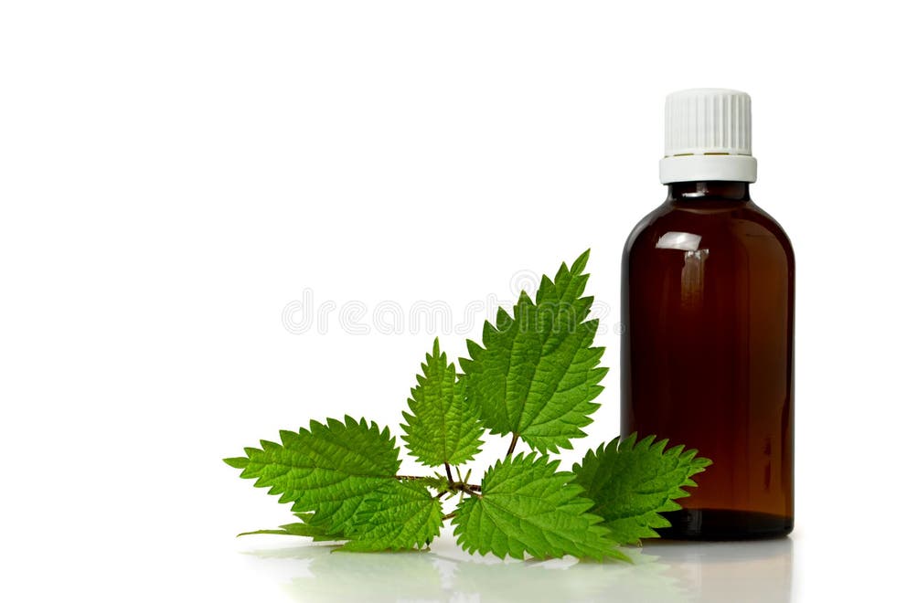 Stinging Nettle Essential Oil Stock Photo - Image of organic, nettle ...