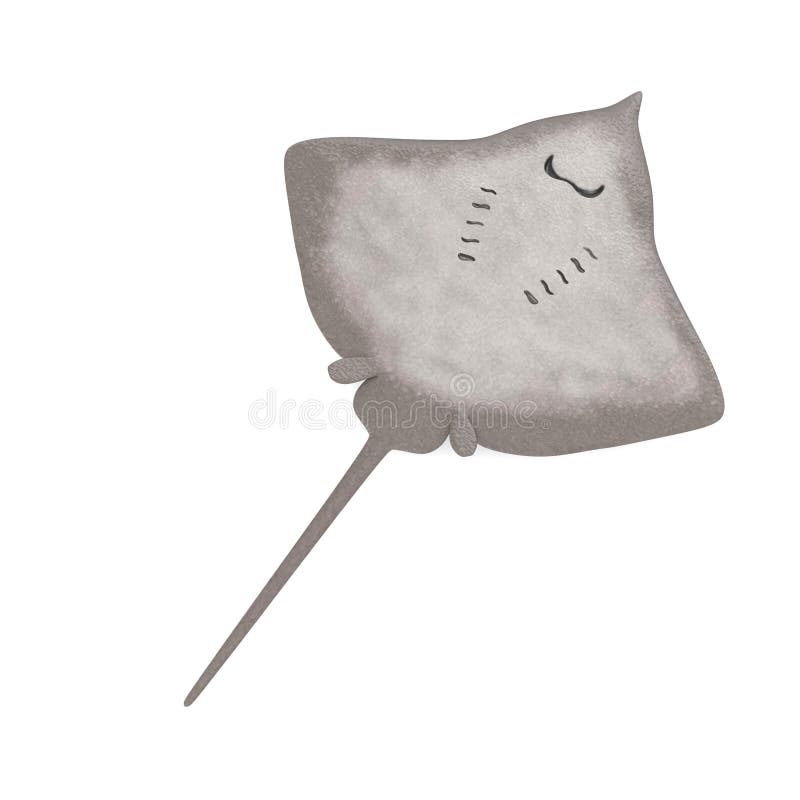Stingray animal (back) stock illustration. Illustration of animal ...