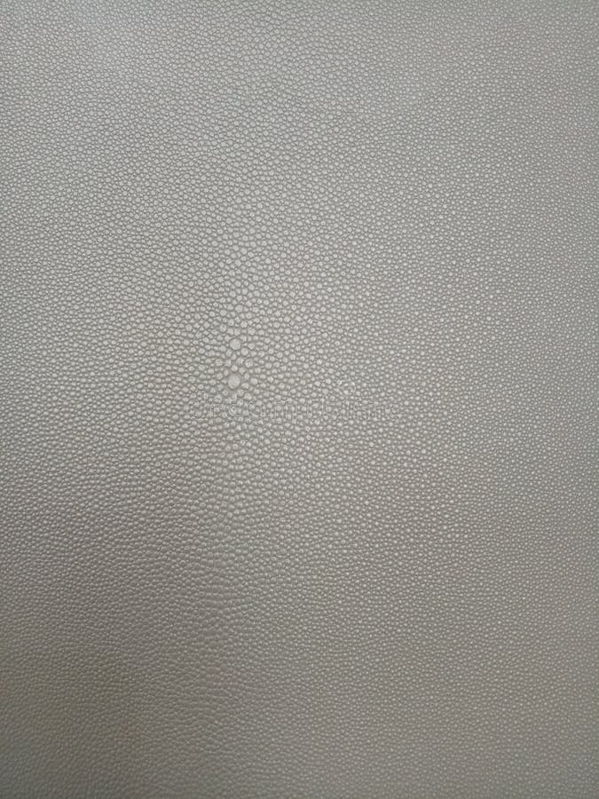 Stingray skin texture stock image. Image of nature, texture - 36780335