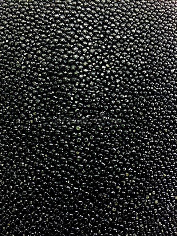 Stingray skin texture stock photo. Image of fashion, leather - 60135608