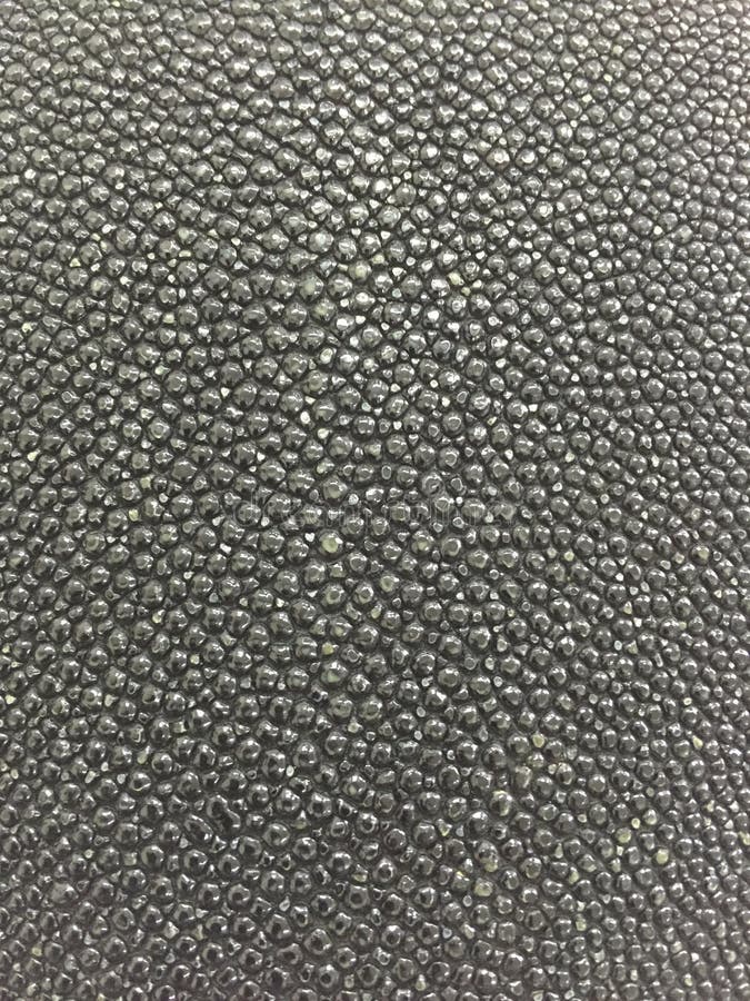 Stingray skin texture stock photo. Image of genuine, belt - 60101542
