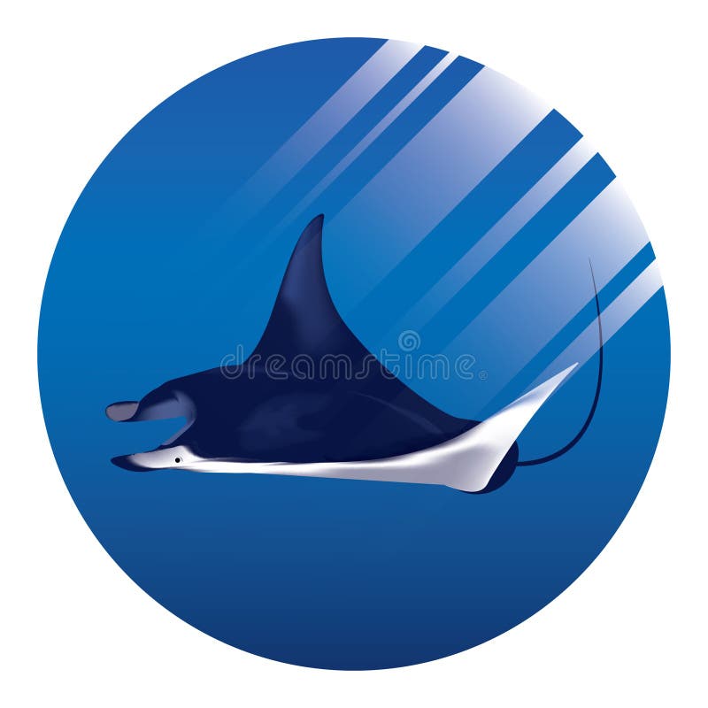 Stingray. Vector Illustration Decorative Background Design Stock Vector ...