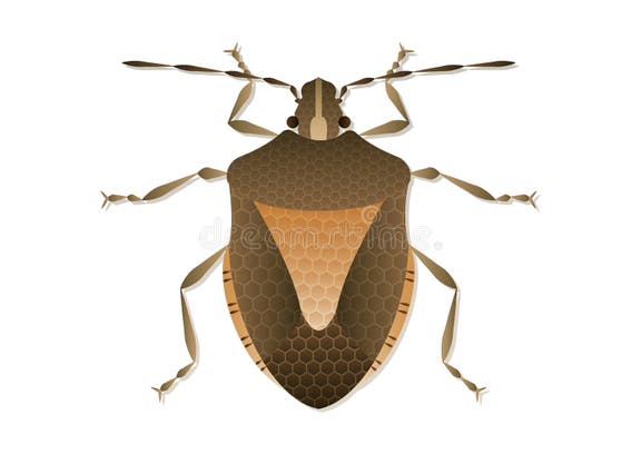 Stink Bug Vector Art Isolated on White Background Stock Illustration ...