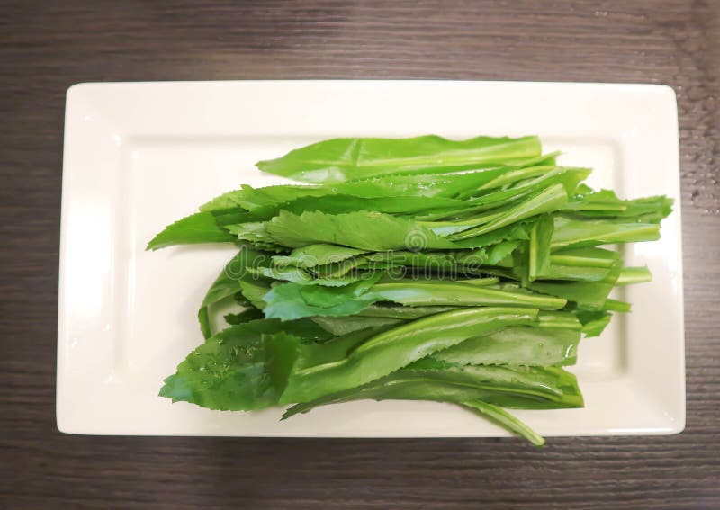 Stink Weed or Coriander or Cilantro Stock Image - Image of sawtooth ...
