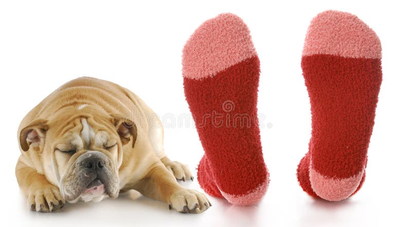 365 Disgusting Feet Stock Photos - Free & Royalty-Free Stock Photos ...