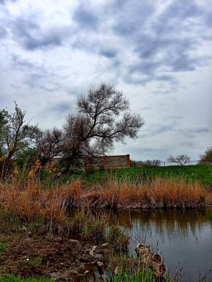 Stinky Small River Stock Photos - Free & Royalty-Free Stock Photos from ...