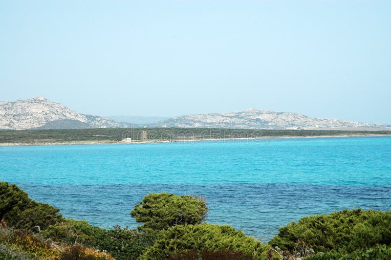 Stintino Sea - Sardinia - Italy Stock Photo - Image of swimming ... Stintino Sea - Sardinia - Italy Stock Photo - Image of swimming ...