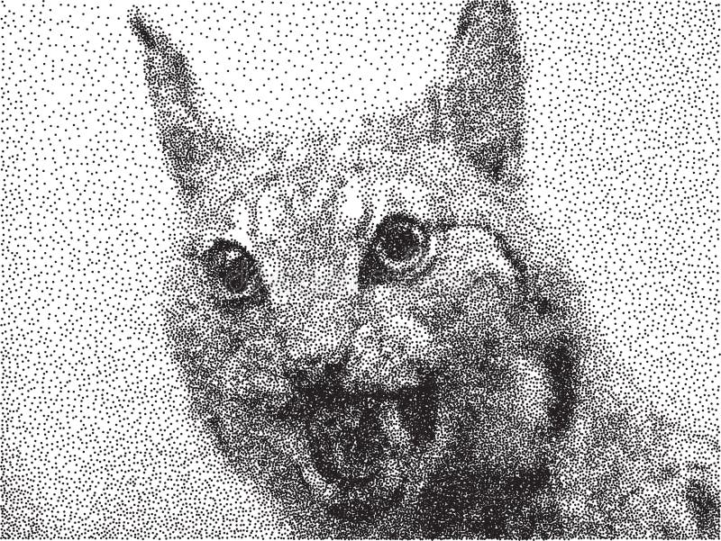 Stippled Lynx Head stock vector. Illustration of school - 280249241
