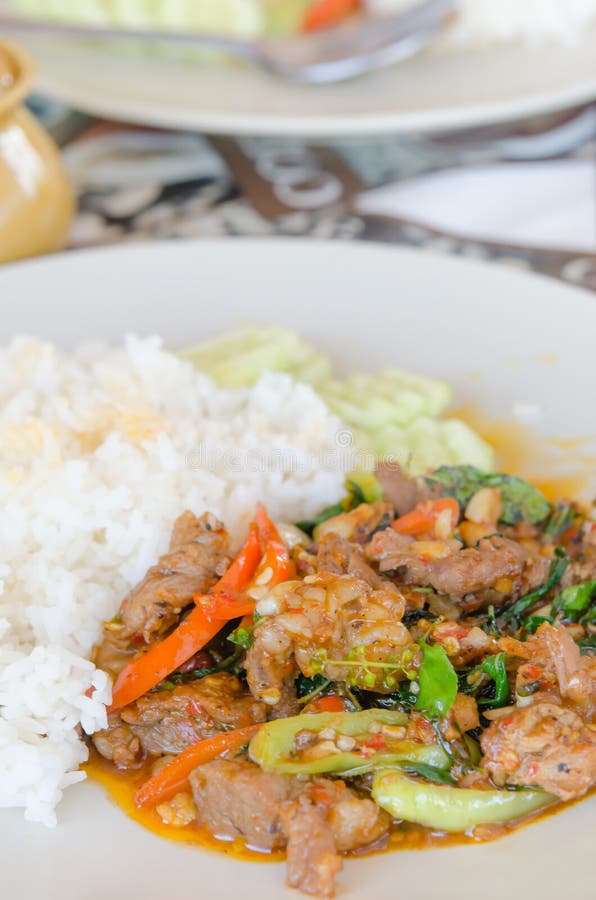 Stir fried bee and rice stock photo. Image of vegetable - 36470506