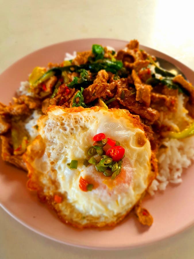Stir Fried Beef with Basil,Fried Egg Over Rice Stock Photo - Image of ...