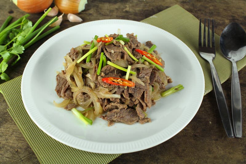 Stir fried beef with onion stock photo. Image of chili - 84383602