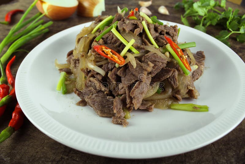 Stir fried beef with onion stock photo. Image of pepper - 84383632
