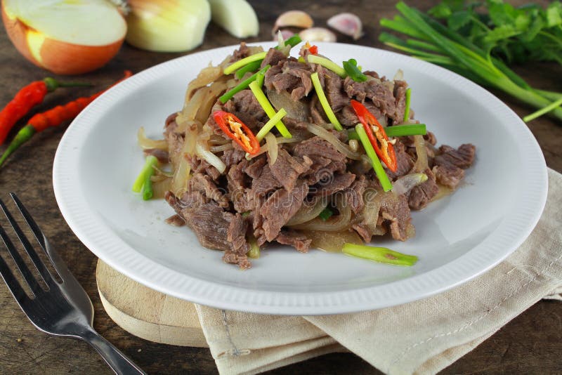Stir fried beef with onion stock image. Image of plate - 84383637