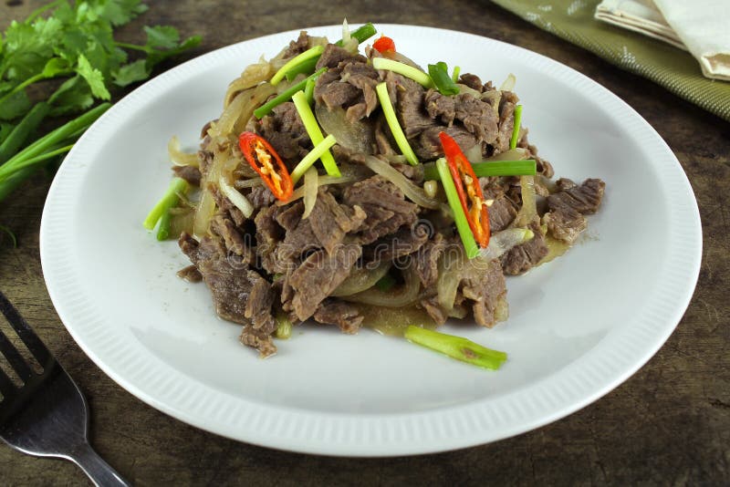 Stir fried beef with onion stock image. Image of sauce - 84388629